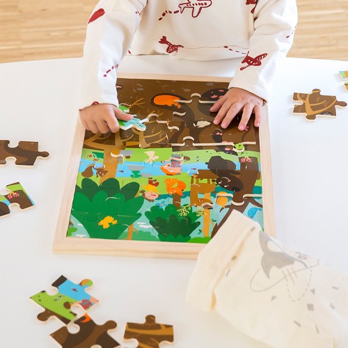 Puzzles éducatifs | APLI